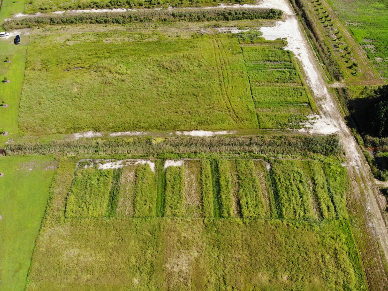 Coastal farmlands across US mid-Atlantic turning too salty for ...